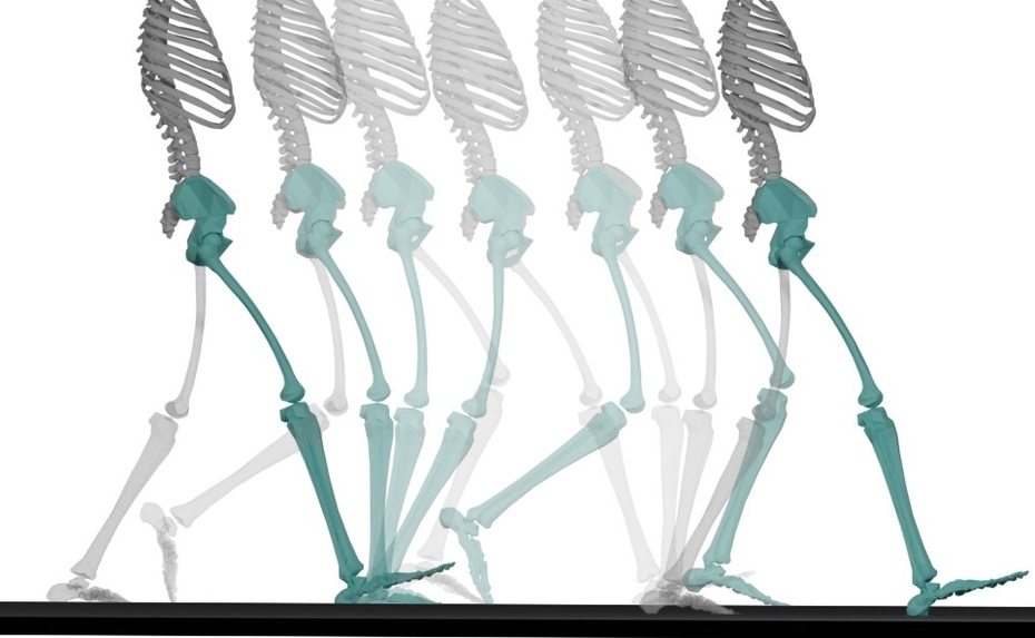Journal of Biomechanics dataset